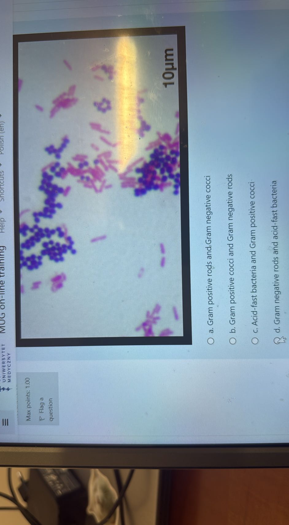 Max points: 1.00 Flag a question a. Gram positive rods and Gram ...