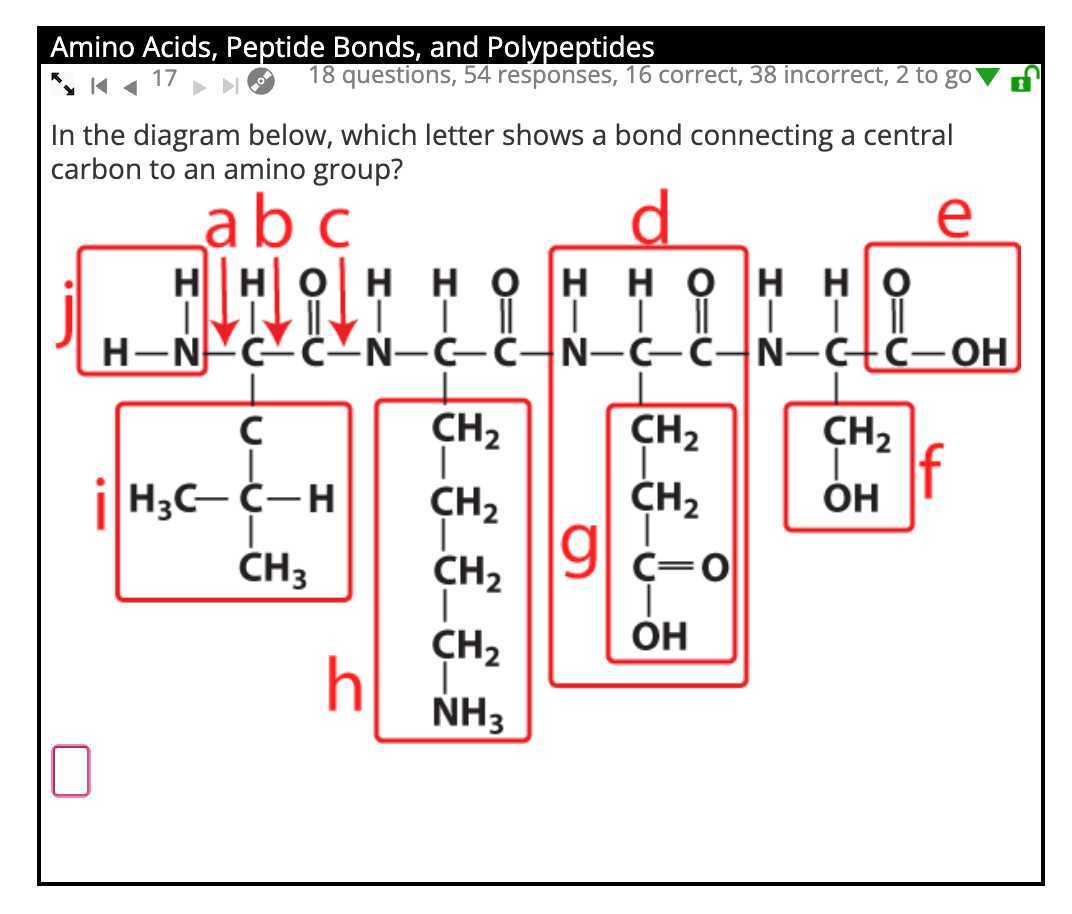 Amino Acids, Peptide Bonds, and Polypeptides In the diagram below ...