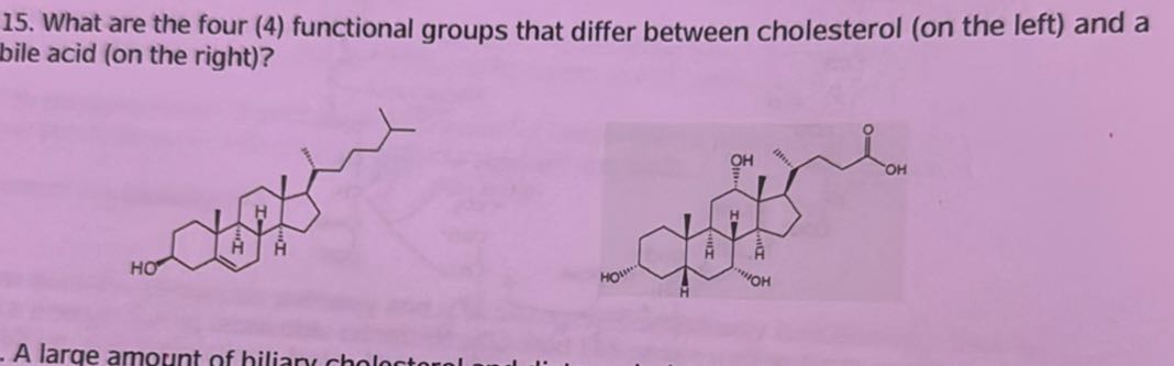 15. What are the four (4) functional groups that differ between ...