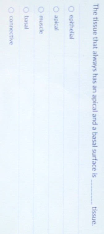 The tissue that always has an apical and a basal surface is tissue ...