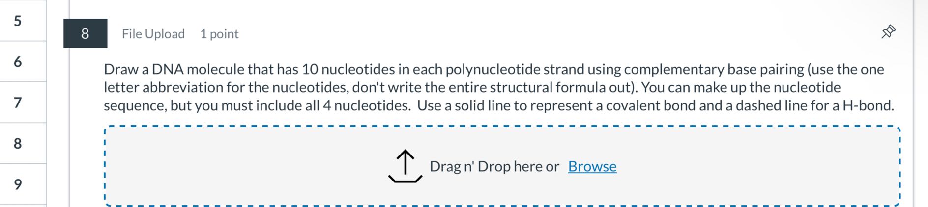 5 6 8 File Upload 1 point Draw a DNA molecule that has 10 nucleotides ...
