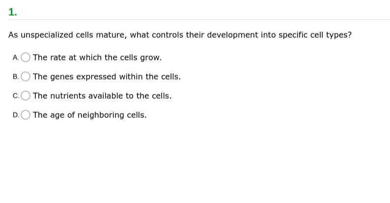 1 as unspecialized cells mature what controls their development into ...