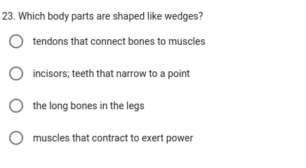 23. Which body parts are shaped like wedges? tendons that connect bones ...