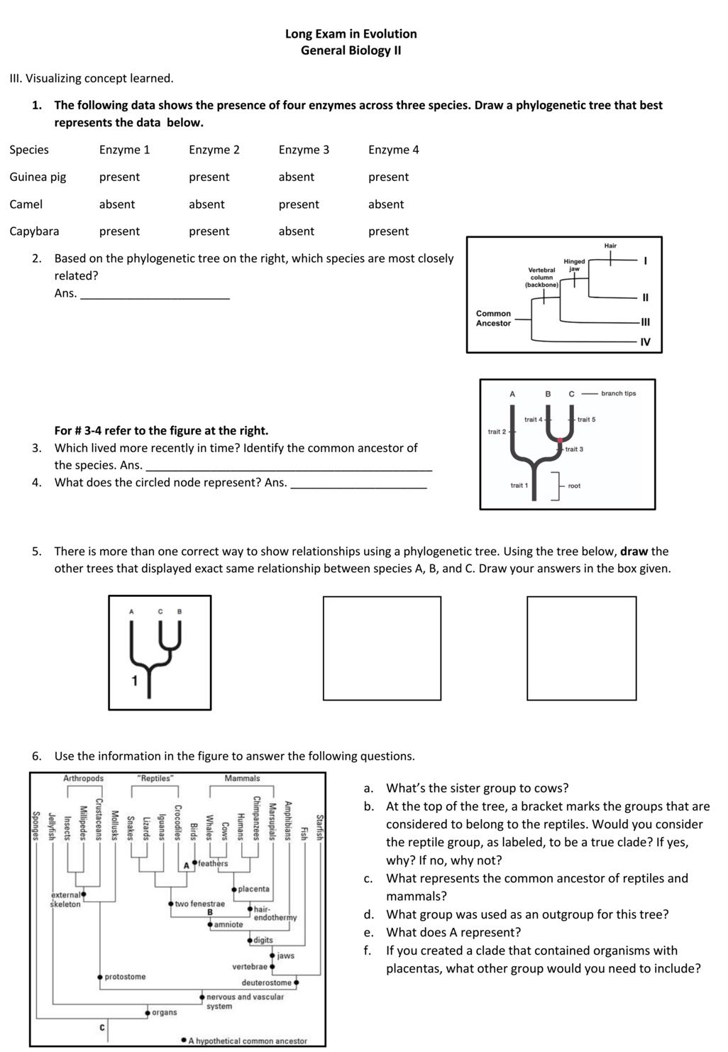 [GET ANSWER] Long Exam in Evolution General Biology II III. Visualizing ...