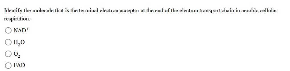 Identify the molecule that is the terminal electron acceptor at the end ...