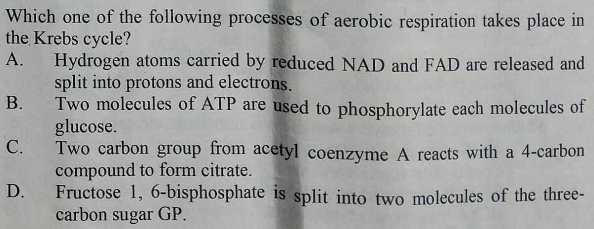 Which one of the following processes of aerobic respiration takes place ...