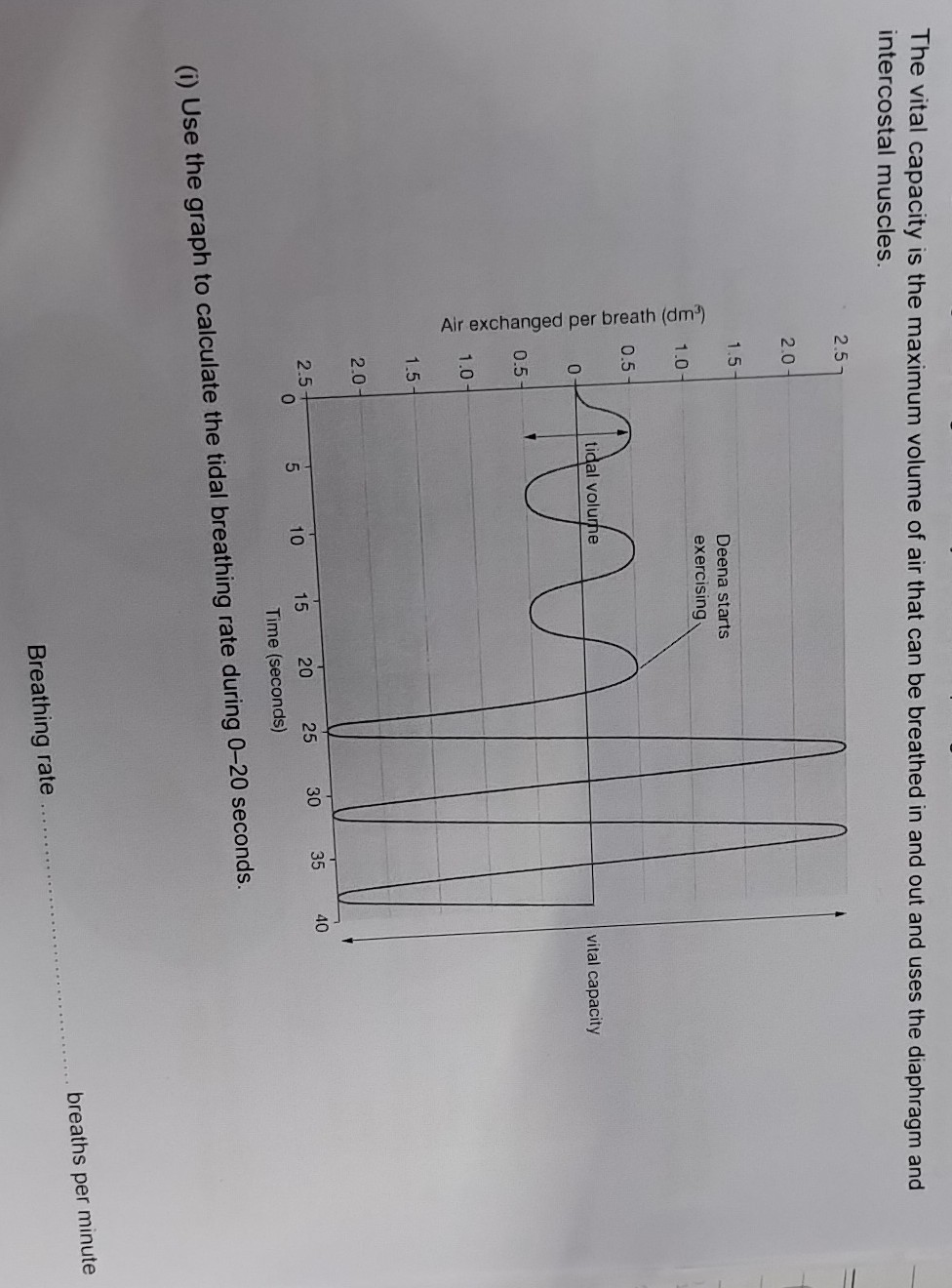 The vital capacity is the maximum volume of air that can be breathed in ...