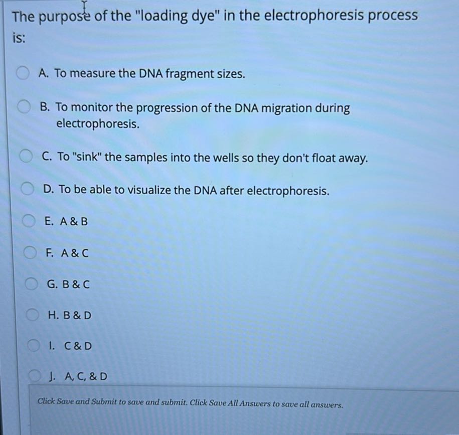 The purpose of the "loading dye" in the electrophoresis process is: A ...