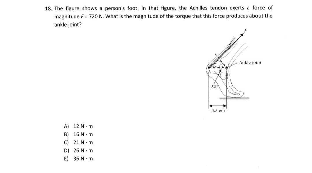 18. The figure shows a person's foot. In that figure, the Achilles ...