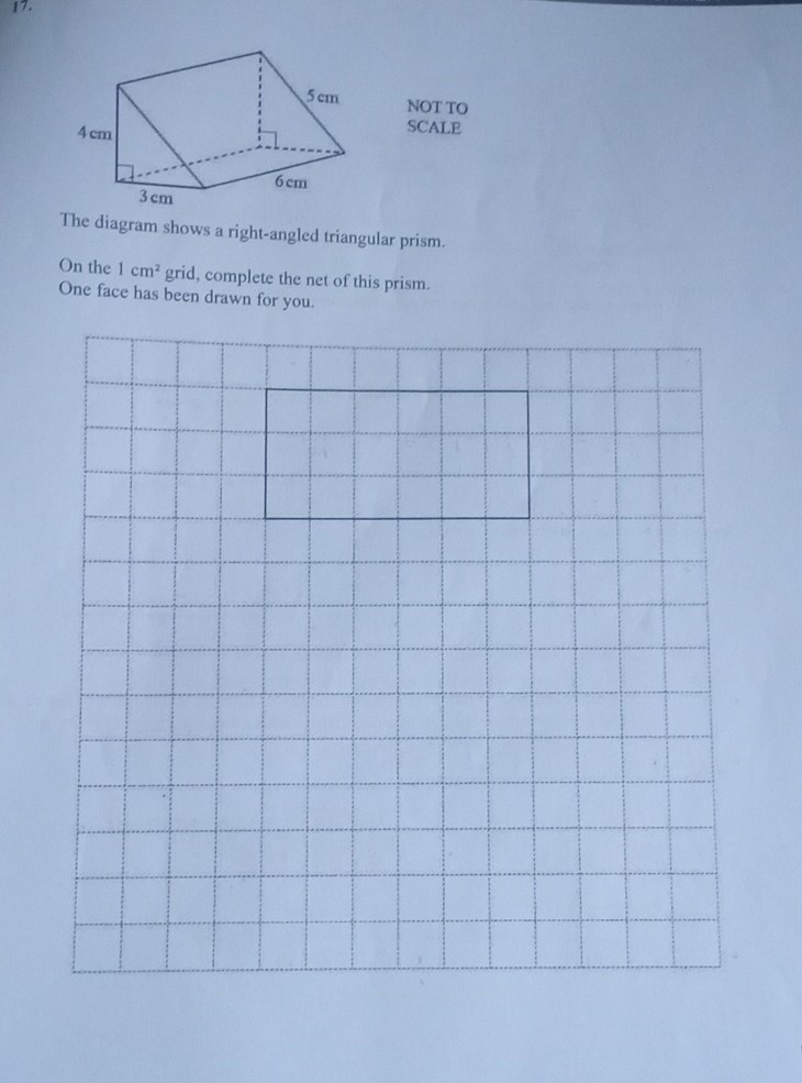 17. The diagram shows a right-angled triangular prism. On...