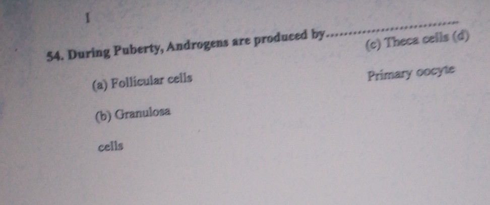 54. During Puberty, Androgens are produced by (c) Theca cells (d) (a ...