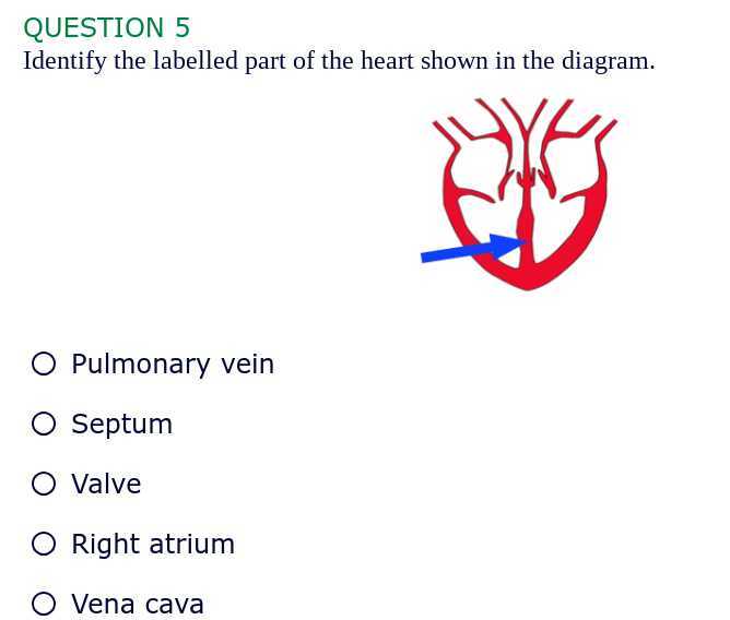 QUESTION 5 Identify the labelled part of the heart shown in the diagram ...