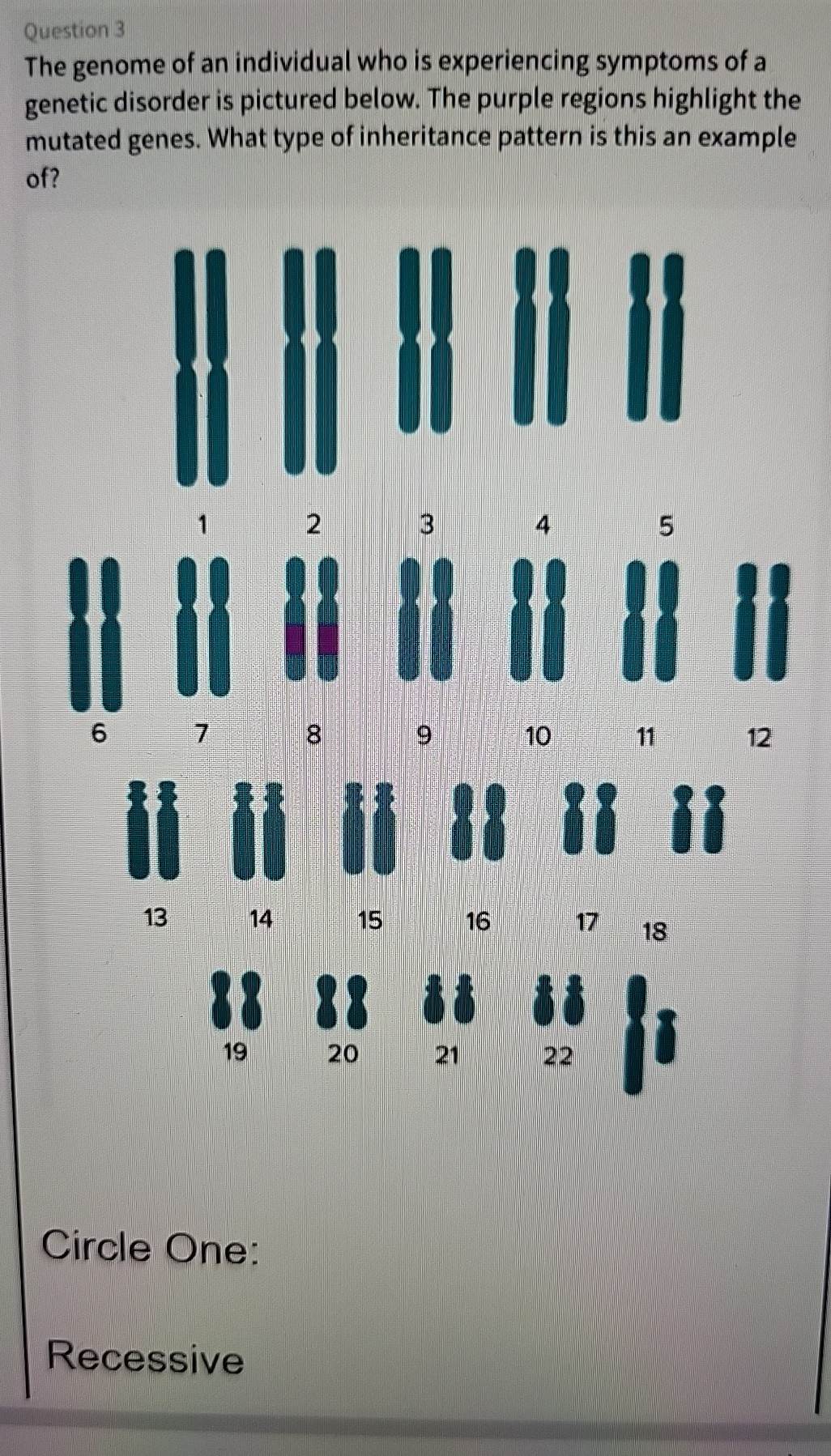 [GET ANSWER] Question 3 The genome of an individual who is experiencing ...