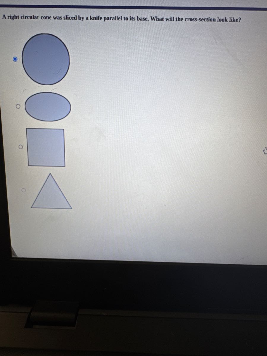 A right circular cone was sliced by a knife parallel to its base. What will the cross-section ...