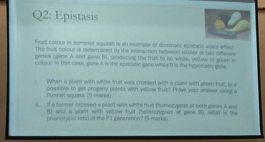 Q2: Epistasis Fruit colour in summer squasih is an example of dominant ...