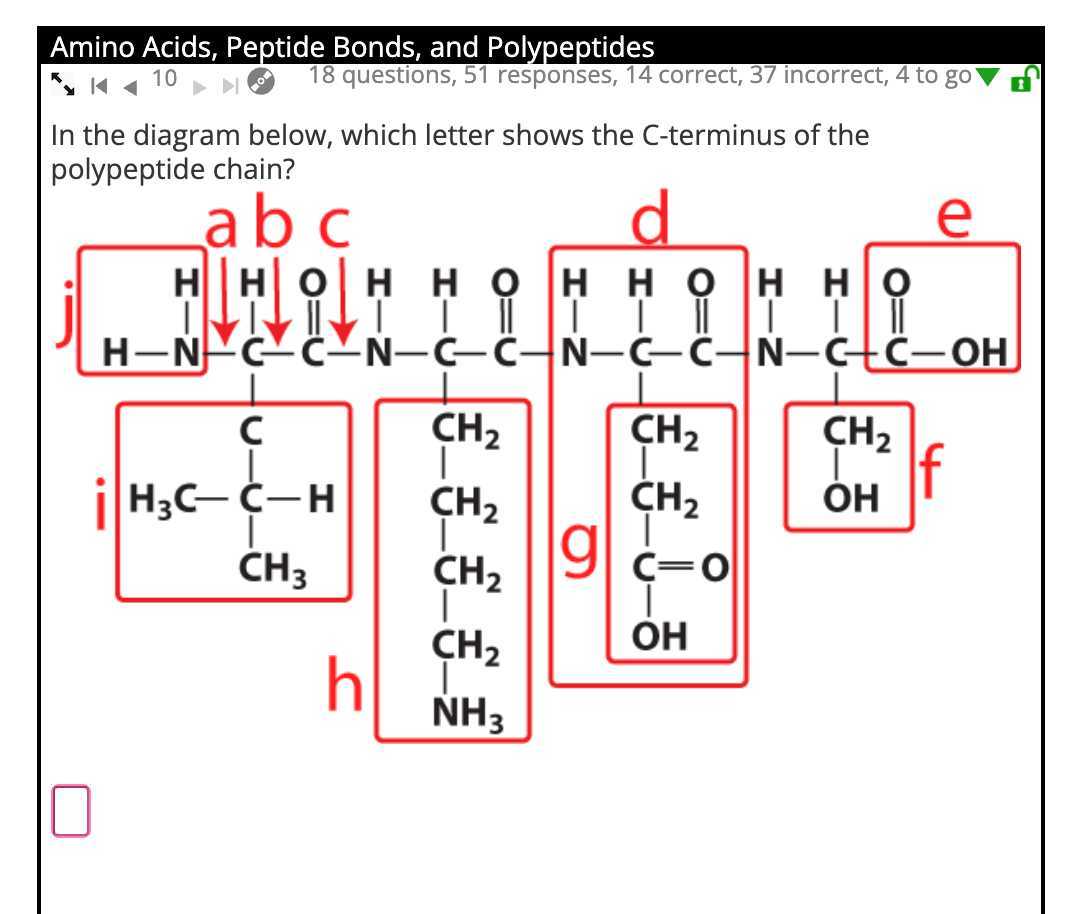 Amino Acids, Peptide Bonds, and Polypeptides In the diagram below ...