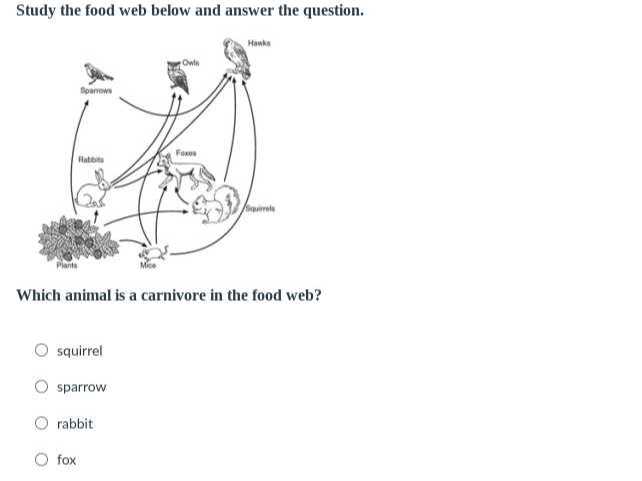 study the food web below and answer the question which animal is a carnivore in the food web ...
