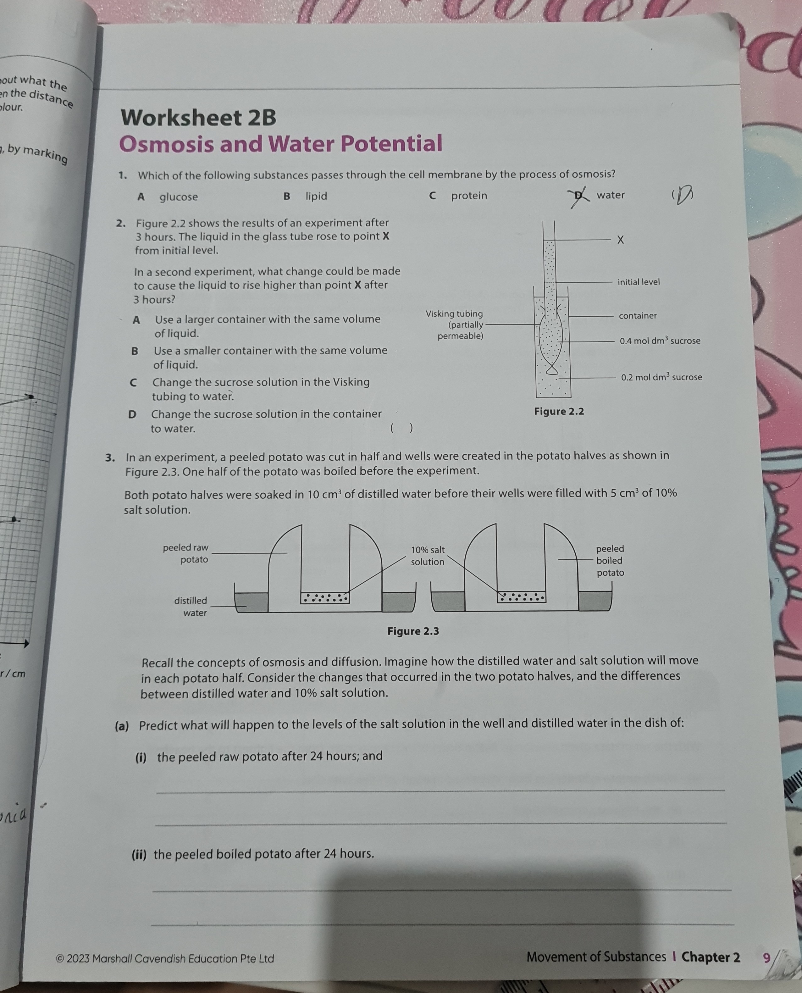 worksheet 2b osmosis and water potential 1 which of the following ...