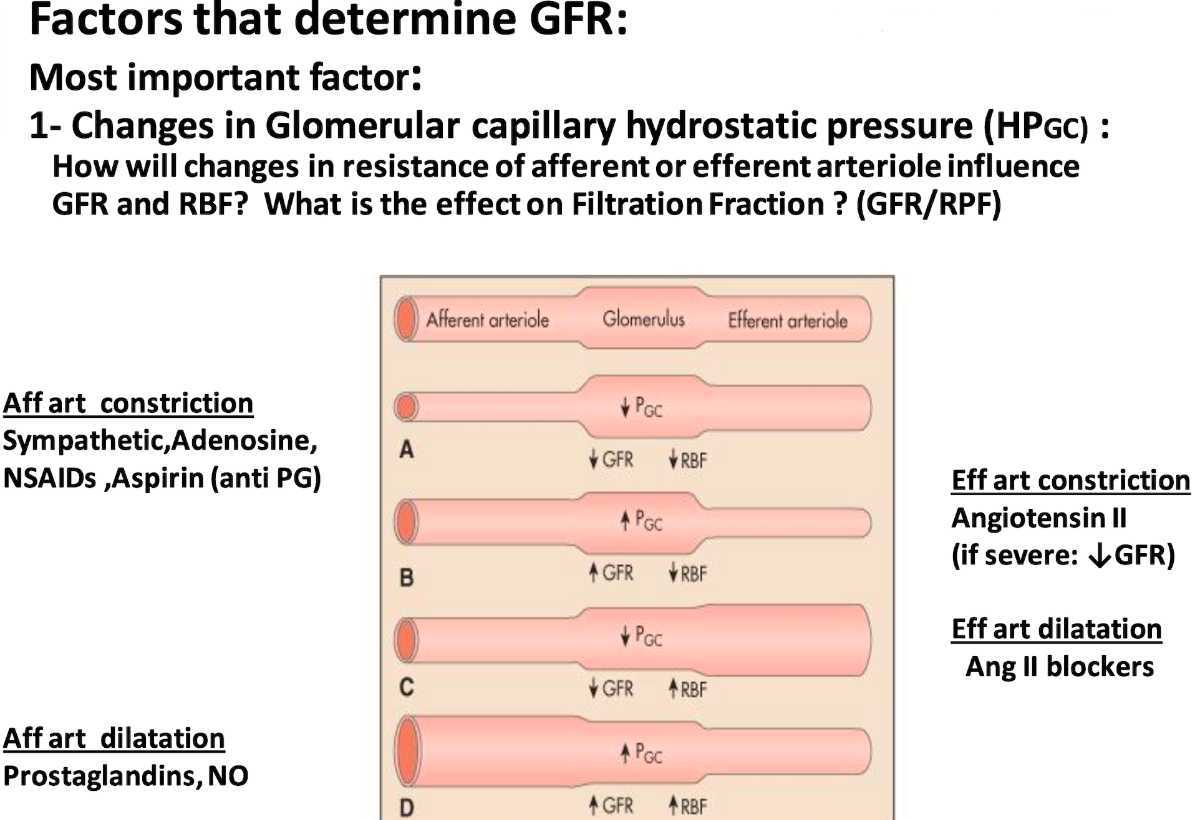 Factors that determine GFR: Most important factor: 1- Changes in ...