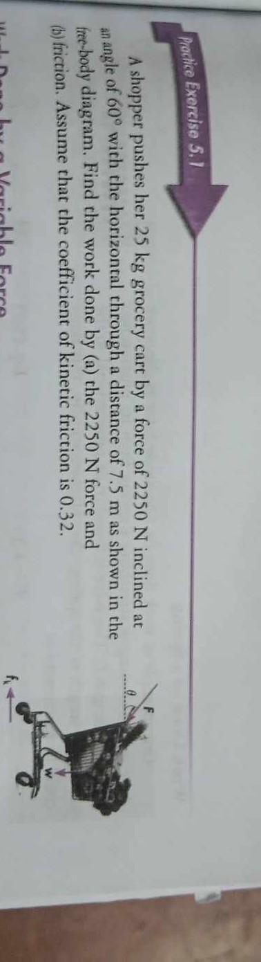 Protice Exercise 5.1 A shopper pushes her 25 kg grocery cart by a force ...