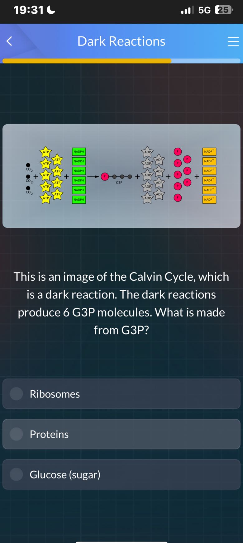 19:31 5G 25 Dark Reactions This is an image of the Calvin Cycle, which ...