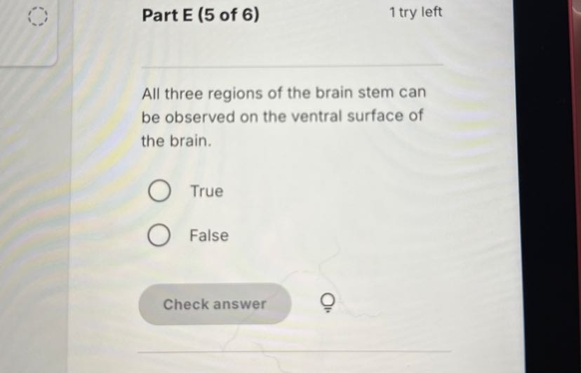 Part E (5 of 6) 1 try left All three regions of the brain stem can be ...
