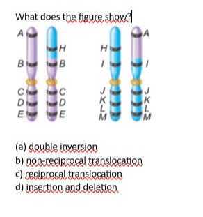 What does the figure show? (a) double ioversion b) non-reciprocal ...