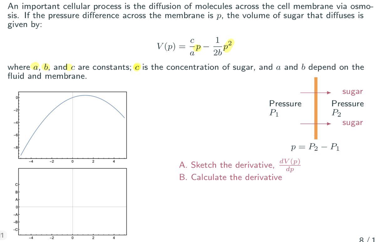 an important cellular process is the diffusion of molecules across the ...