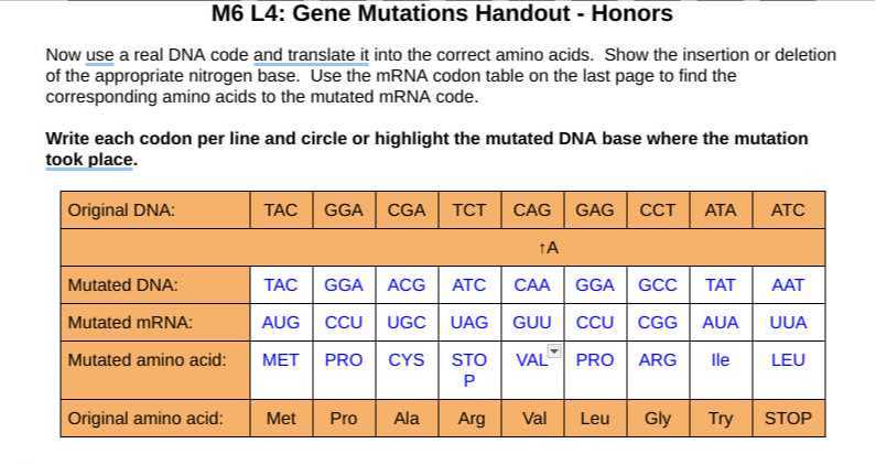 M6 L4: Gene Mutations Handout - Honors Now use a real DNA...