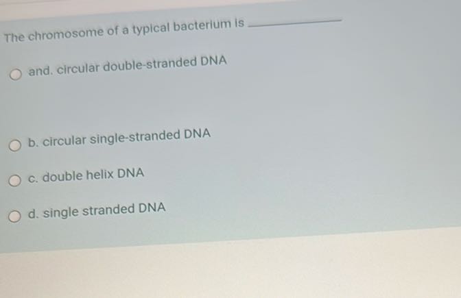 The chromosome of a typical bacterium is and. circular double-stranded ...