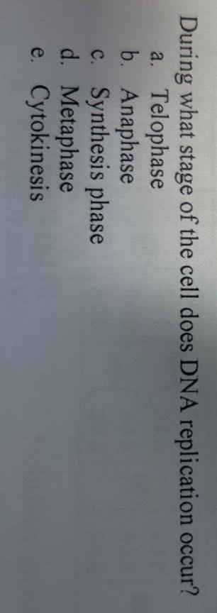 During what stage of the cell does DNA replication occur? a. Telophase ...