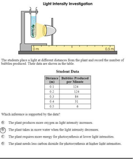 Light Intensity Investigation The students place a light at different ...