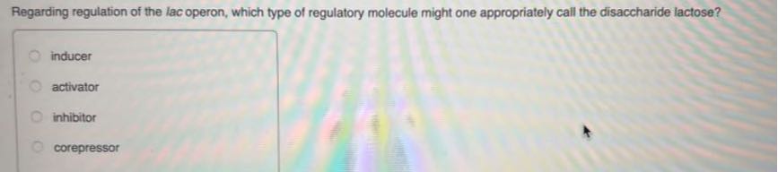 regarding regulation of the lac operon which type of regulatory ...