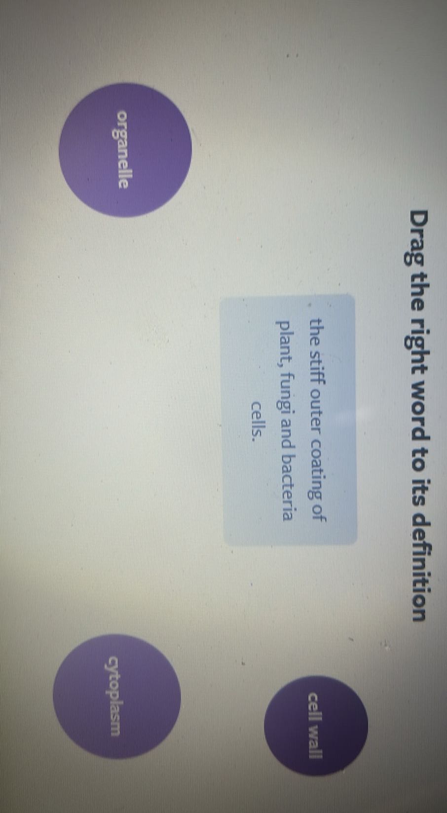 Drag the right word to its definition the stiff outer coating of cell ...