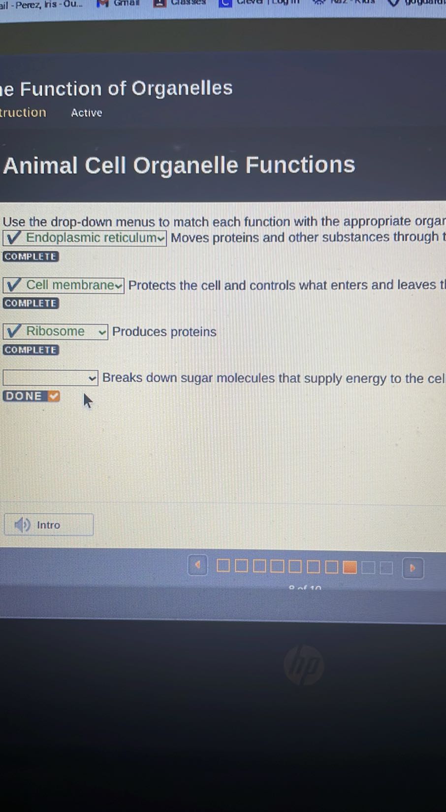 il - Perez, ris - Ou. Casses Function of Organelles ruction Active Animal Cell Organelle ...