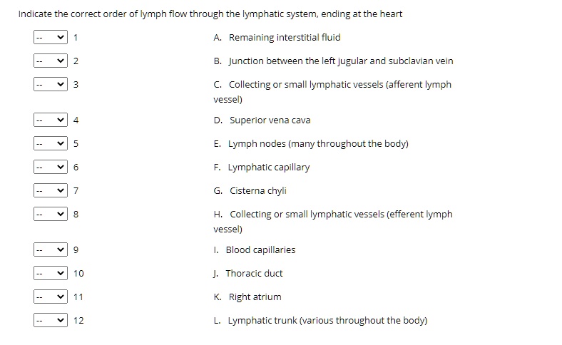 Jugular Lymph Nodes