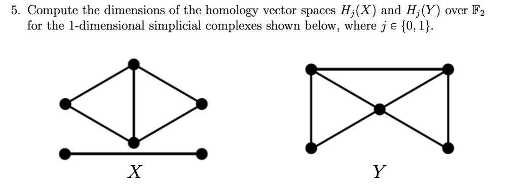 5 compute the dimensions of the homology vector spaces hx and hy over ...
