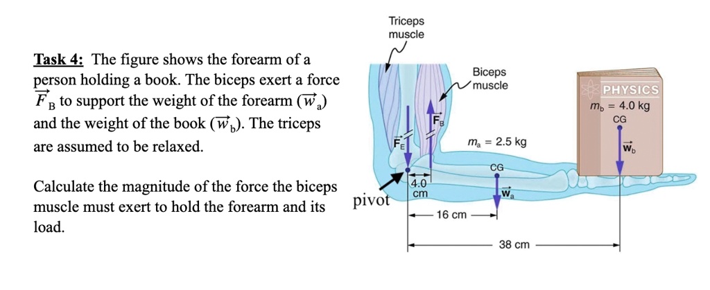 Task 4: The figure shows the forearm of a person holding a book. The ...