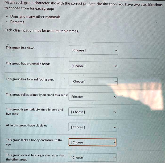 SOLVED: Text: Match each group characteristic with the correct primate ...