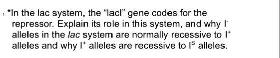 SOLVED:~In the lac system, the "lacl" gene codes for the repressor ...