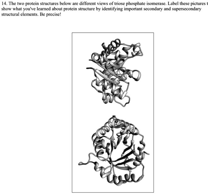 SOLVED:The two protein structures below are different views of triose ...