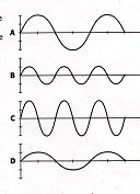 SOLVED: 'Study the four transverse waves shown. Compare the properties ...
