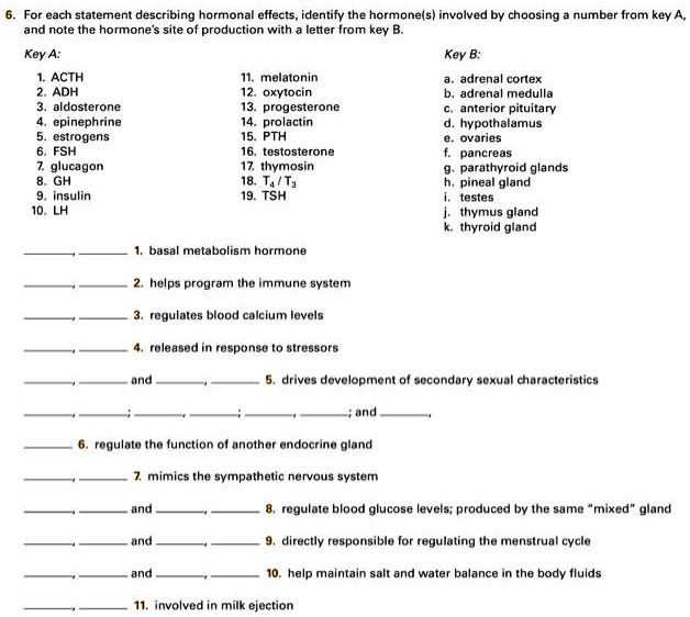 6. For each statement describing hormonal effects, identify the hormone ...