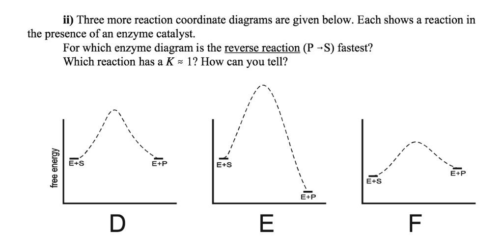SOLVED: ii) Three more reaction coordinate diagrams are given below. Each shows a reaction in ...