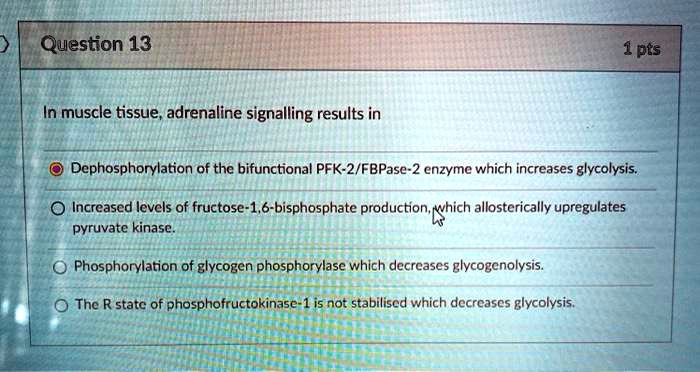 SOLVED: In muscle tissue, adrenaline signaling results in ...