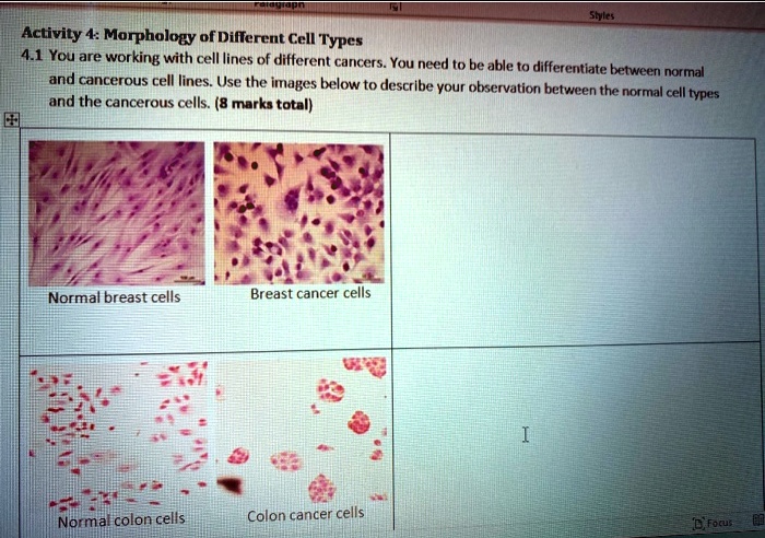 SOLVED:Dumr Activity 4: Morphology of Diflerent Cell Types 4.1 You are ...