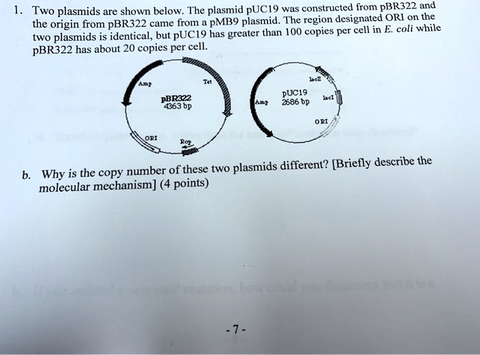 SOLVED: Two plasmids are shown below: The plasmid pUC!9 was constructed ... SOLVED: Two plasmids are shown below: The plasmid pUC!9 was constructed ...