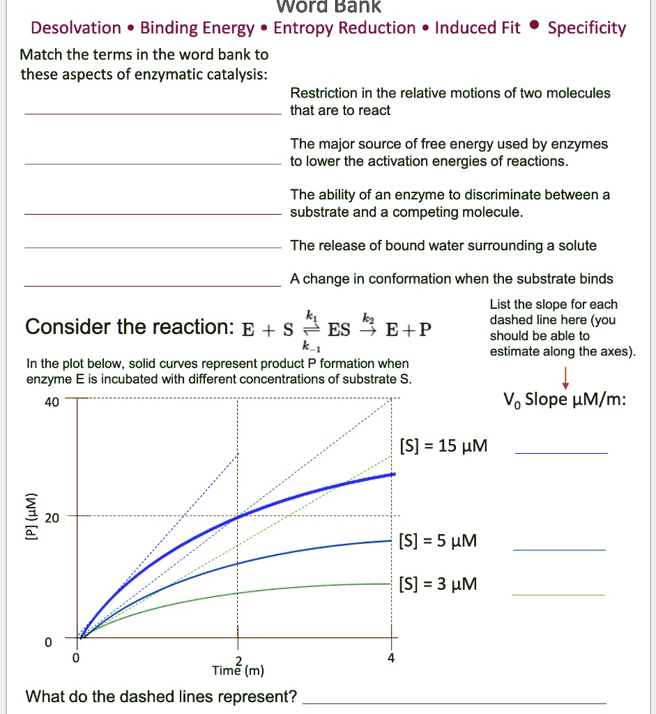 SOLVED: Word Bank: Desolvation, Binding Energy, Entropy Reduction ...