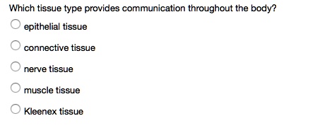 SOLVED: Which tissue type provides communication throughout the body ...