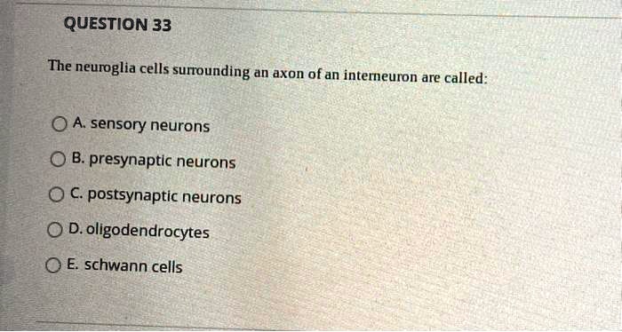 SOLVED:QUESTION 33 The neuroglia cells surounding an axon ofan ...